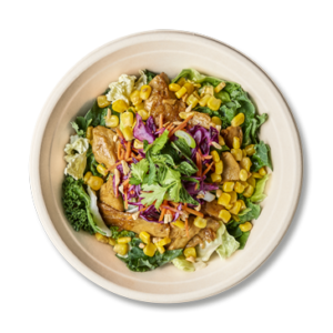 Rice Up! Asian Fusion